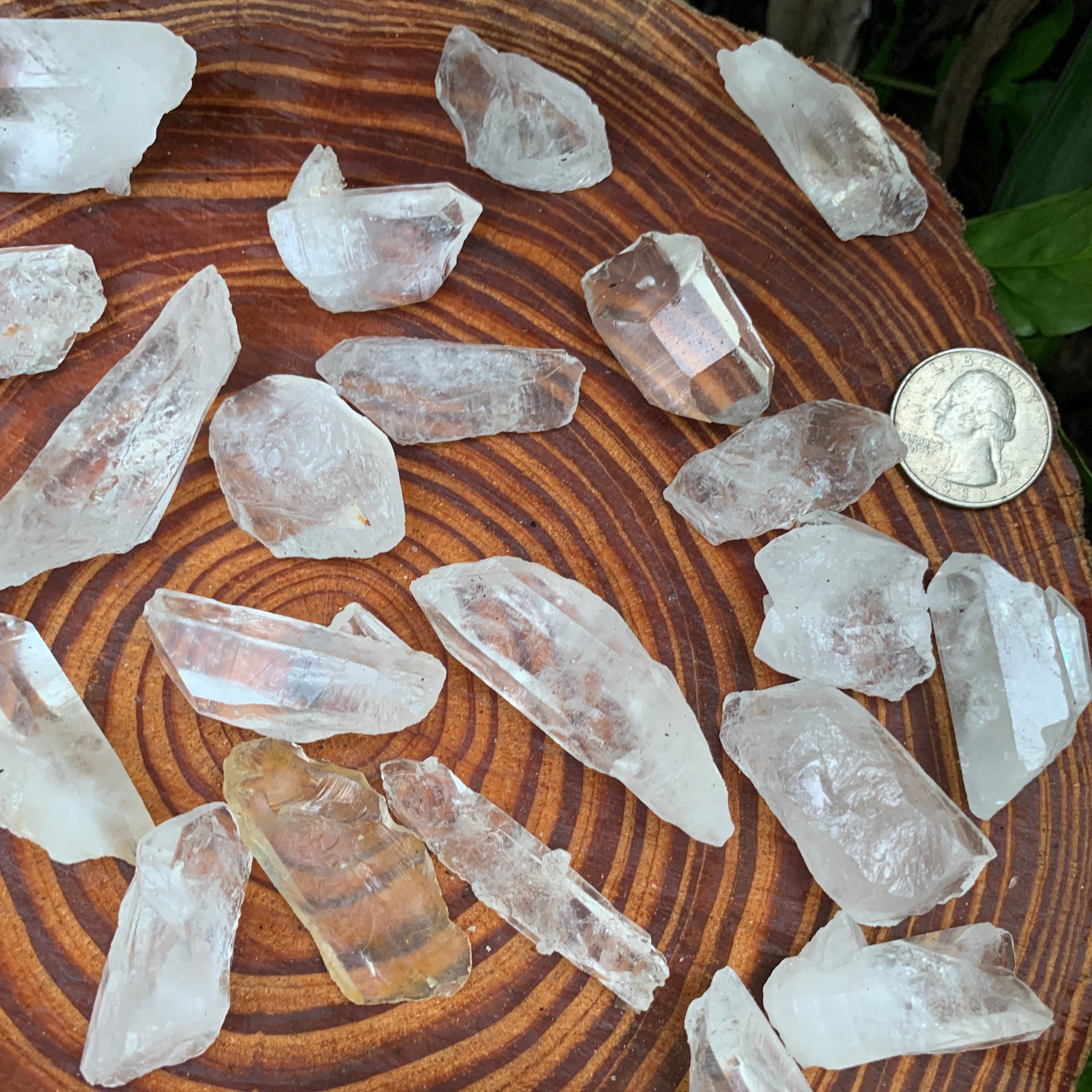 Bulk Raw Stones & Crystals — Store — Beyond Bohemian