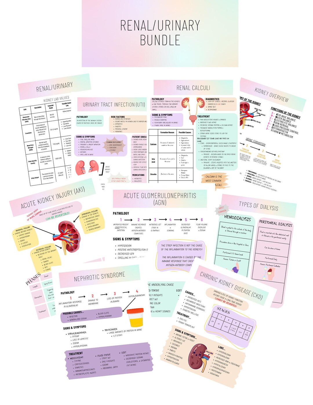 Renal/urinary Study Bundle - Etsy