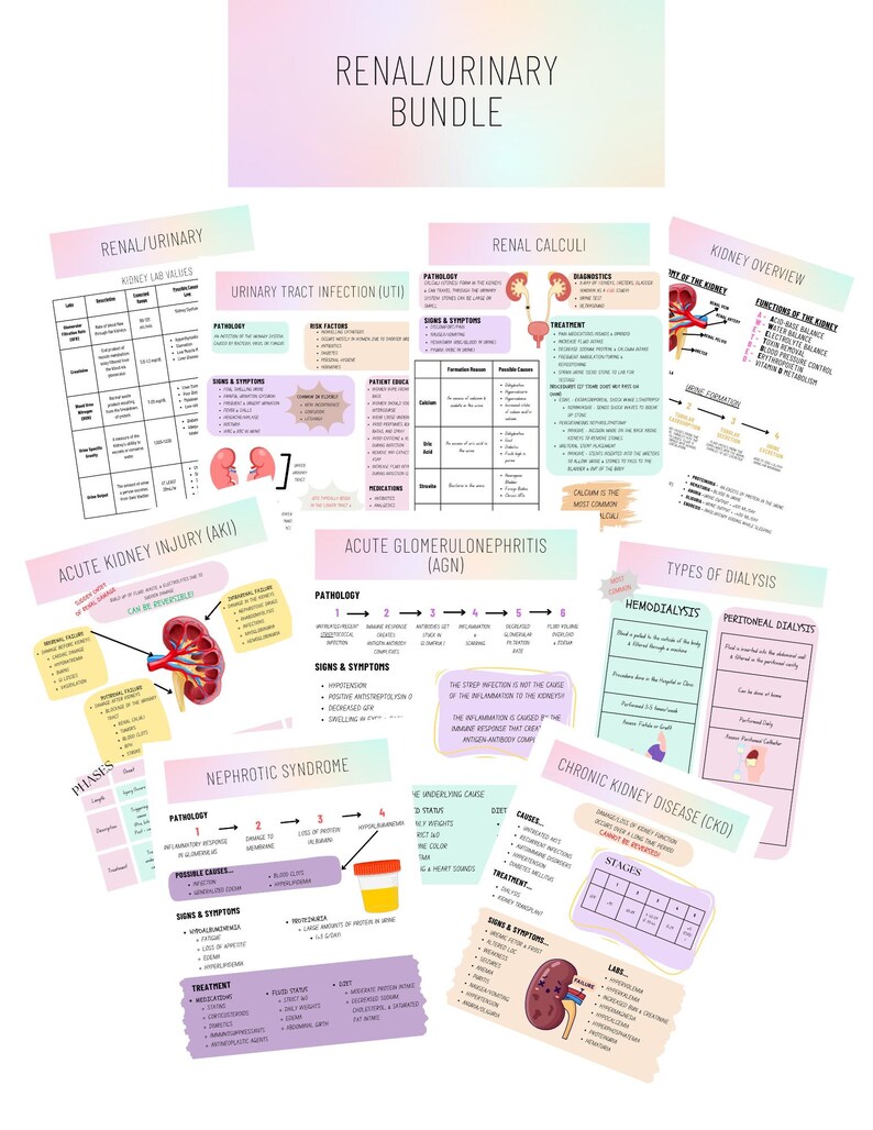 Renal/urinary Study Bundle - Etsy