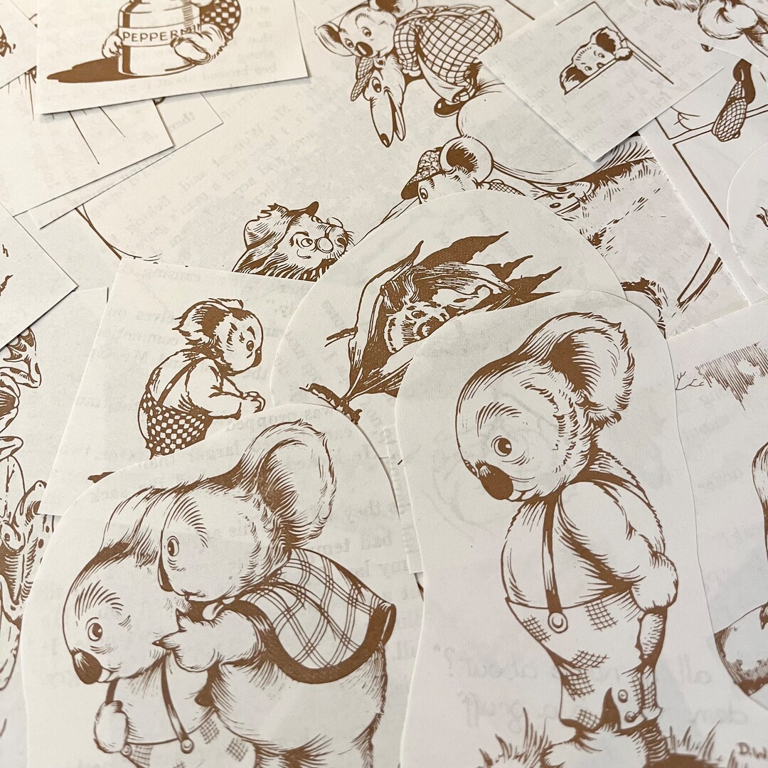 Blinky Bill Illustrations, 15 Vintage Dorothy Wall Book Pictures ...