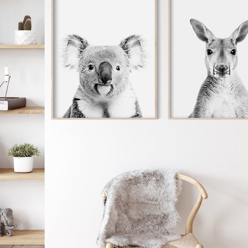 Kangaroo Print Kangaroo Photo Australian Wall Art - Etsy