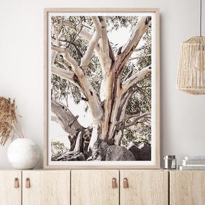 Gum Tree Print | Australian Landscape Art Poster | Aussie Native Bush ...