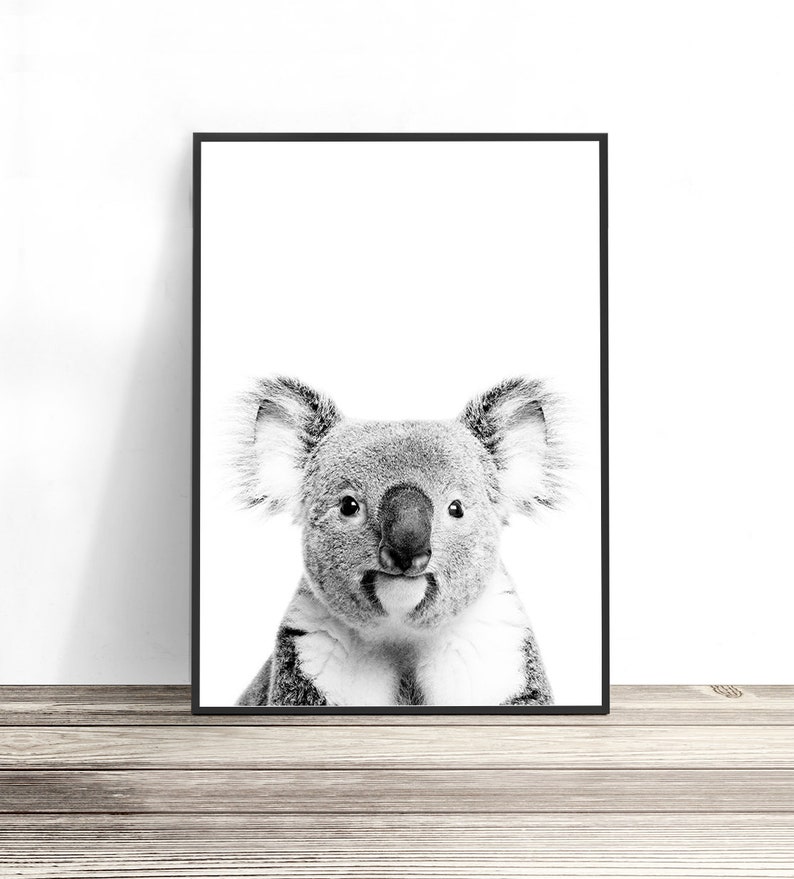 Set of 2 Australian Prints Native Australian Animal Prints - Etsy Australia
