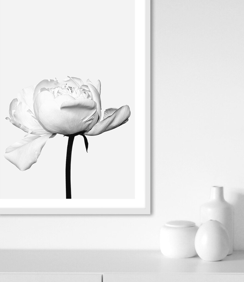 Peony Wall Art Black and White Flower Photography Botanical - Etsy