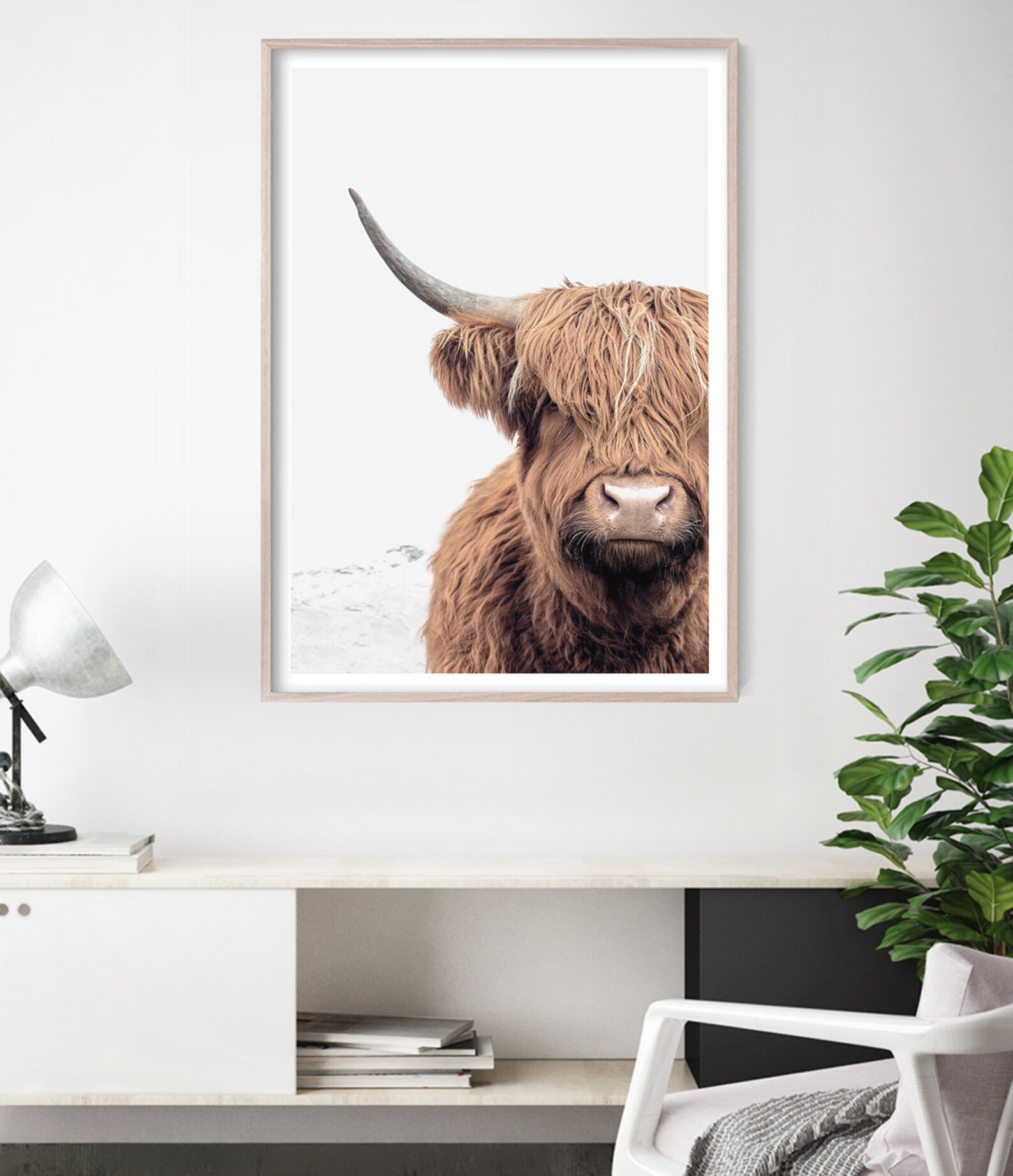 Highland Cow Print, Bull Print, Cow Photography Print, Cow Picture, Cow ...