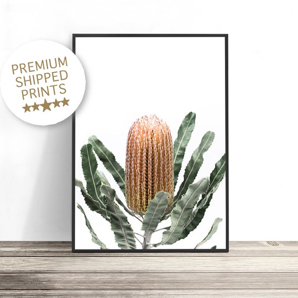Flower Poster - Etsy Australia