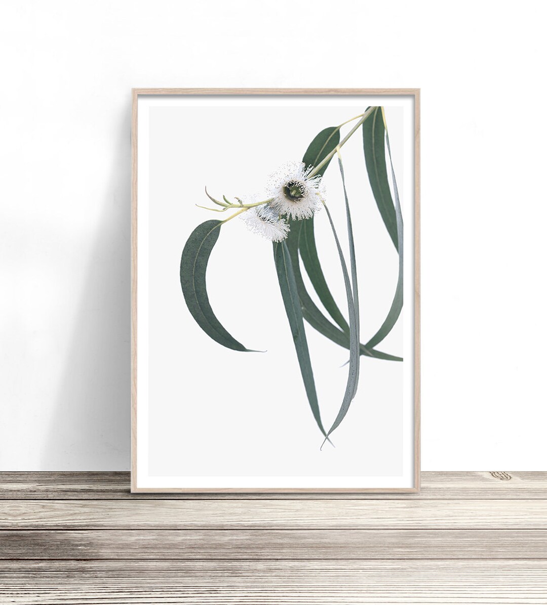 Australian Wall Art Print | Eucalyptus Print | Modern Australiana ...