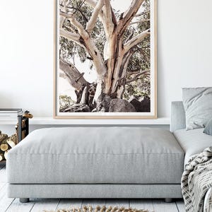 Gum Tree Print | Australian Landscape Art Poster | Aussie Native Bush ...