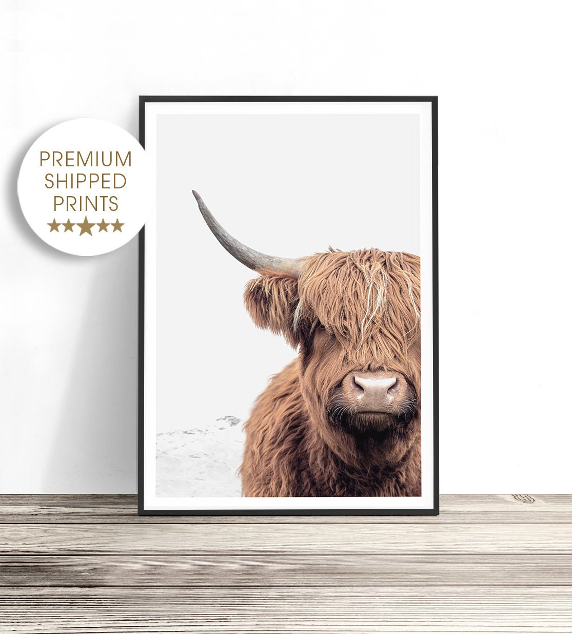 Highland Cow Print, Bull Print, Cow Photography Print, Cow Picture, Cow ...