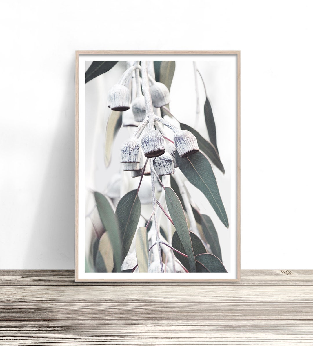 Australian Wall Art | Gumtree Print | Eucalyptus | Native Australian ...