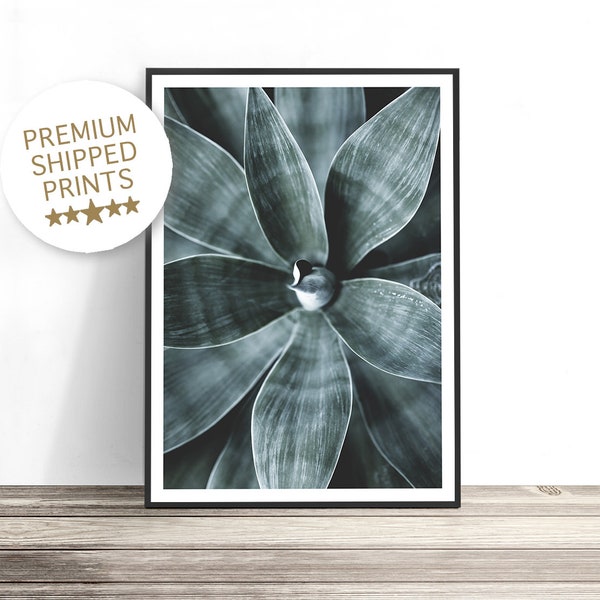 Succulent Wall - Etsy