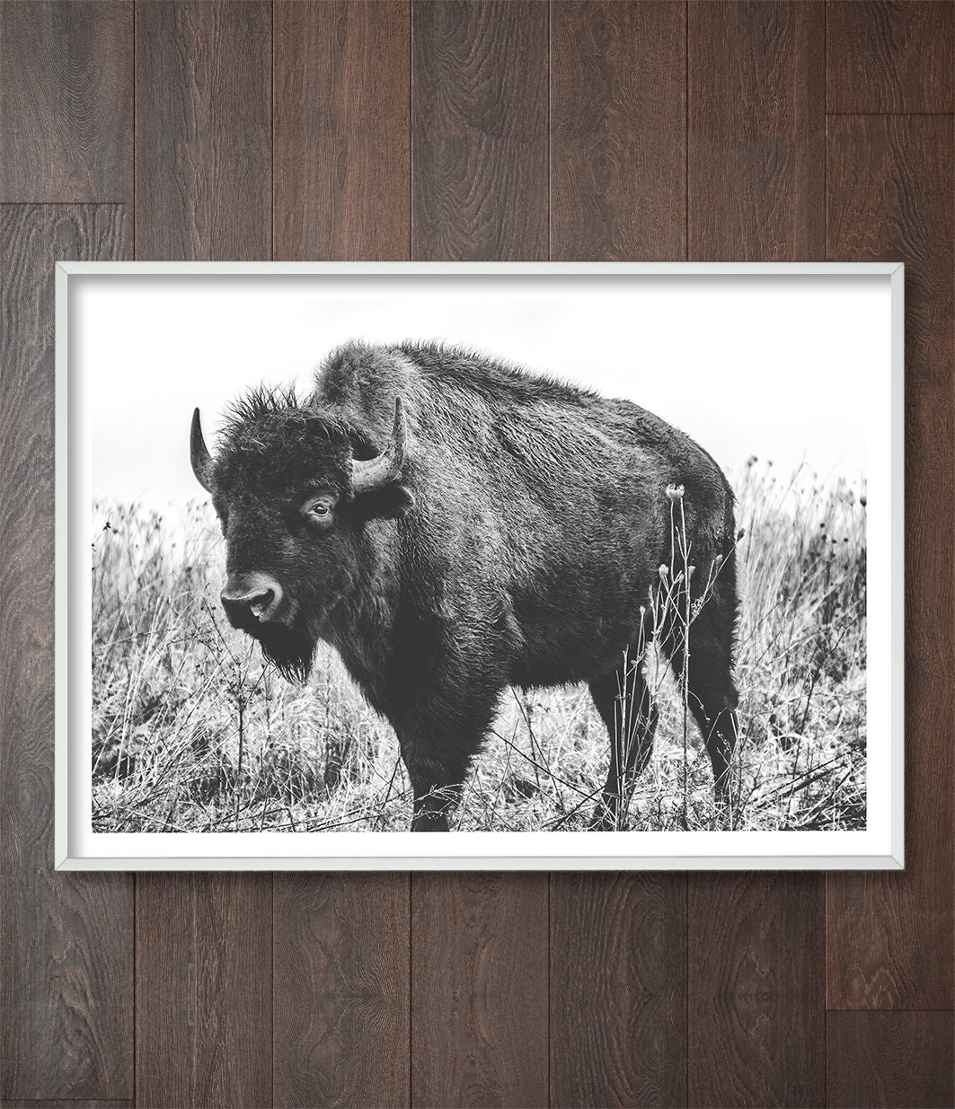 Bison Print American Buffalo Wall Art Southwestern Decor - Etsy