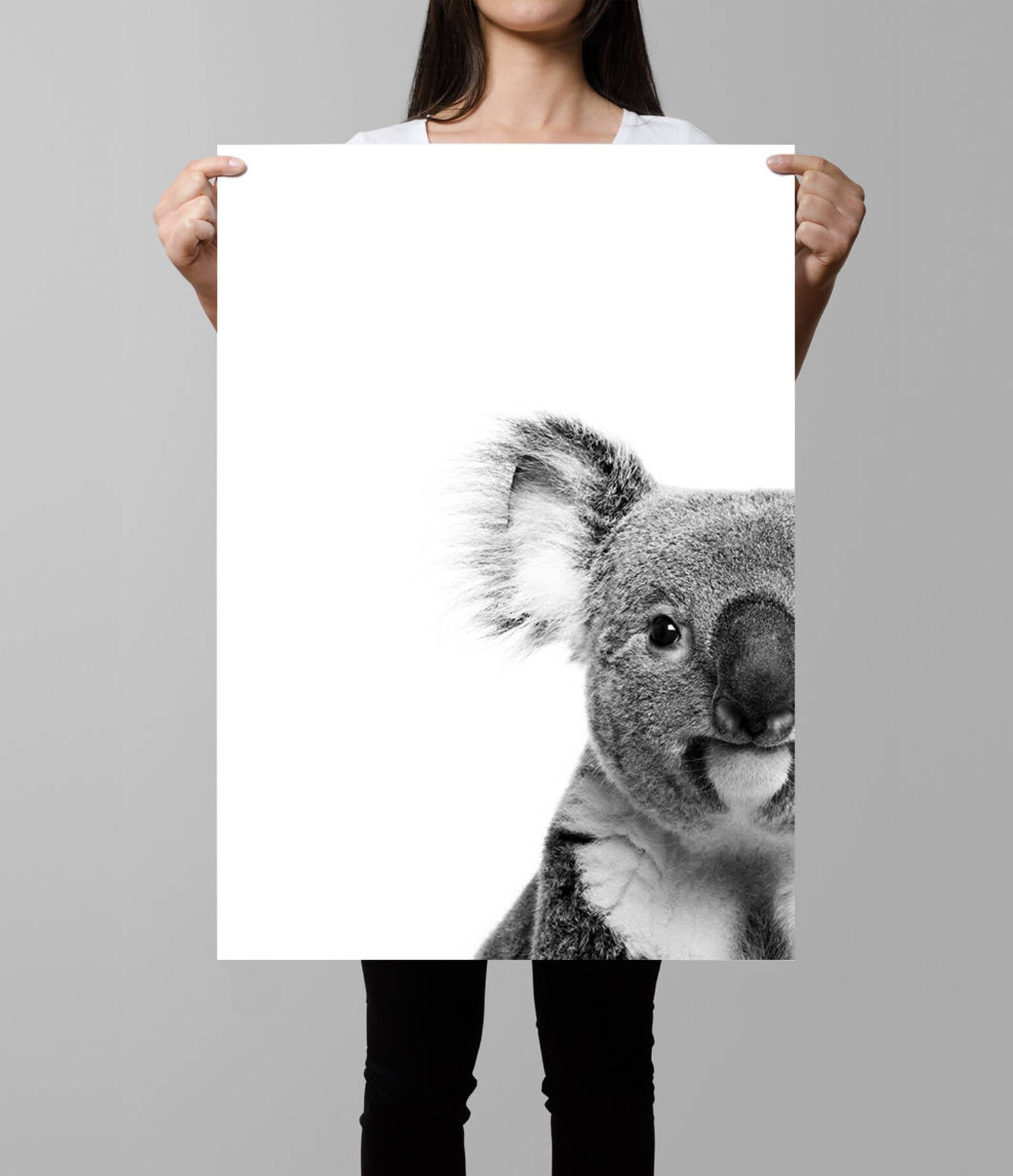 Koala Print, Australian Animal Print, Koala Art Print, Koala Bear Gifts ...