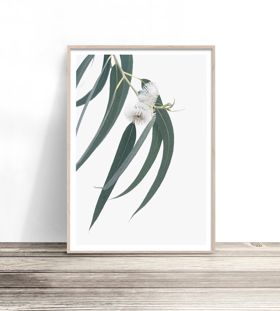 Australian Native Prints | Eucalyptus Wall Art | Modern Australian ...