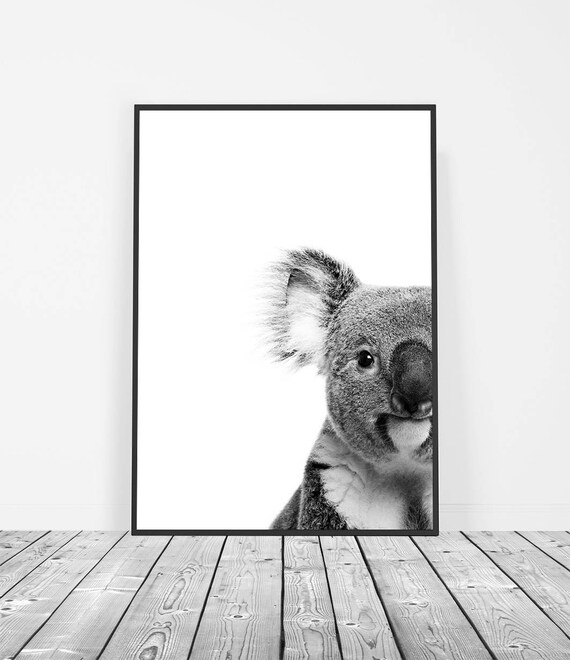 Koala Print Australian Animal Print Koala Art Print Koala | Etsy