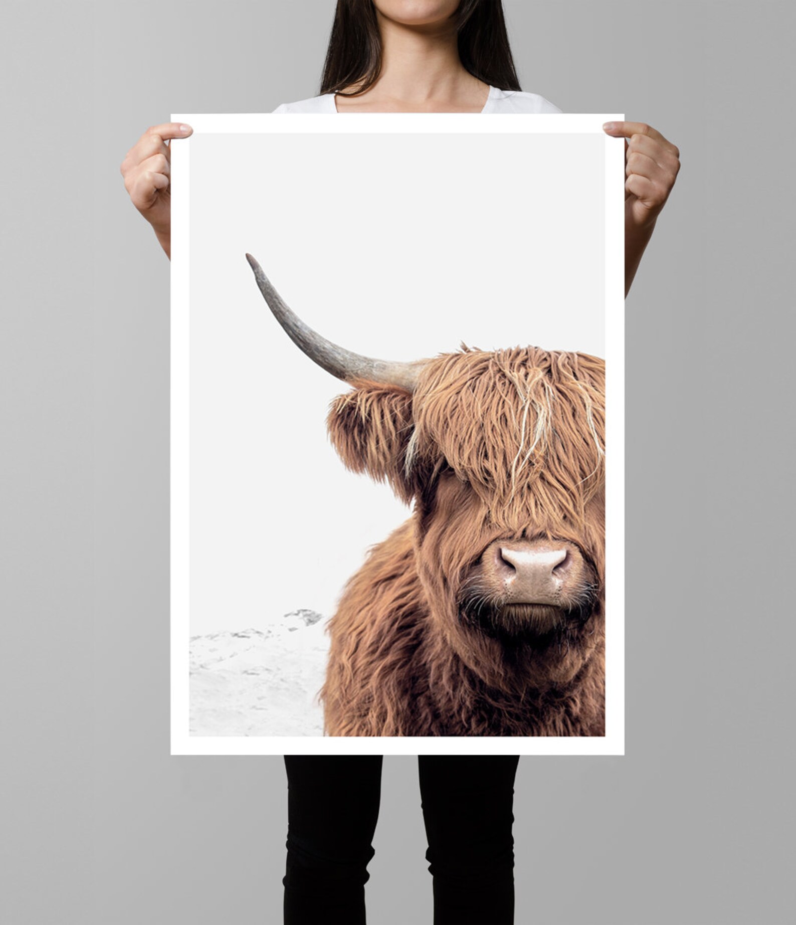 Highland Cow Print, Bull Print, Cow Photography Print, Cow Picture, Cow ...