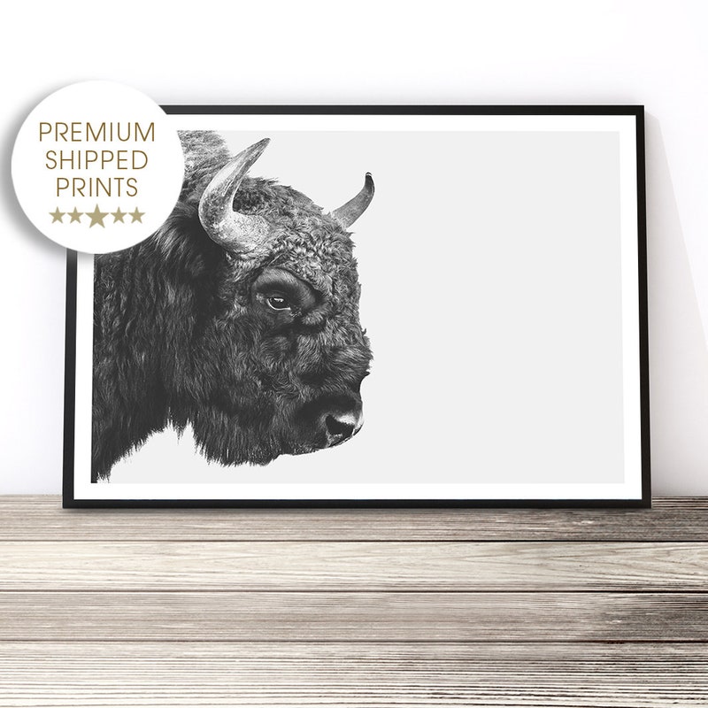 Large Buffalo Print - Etsy