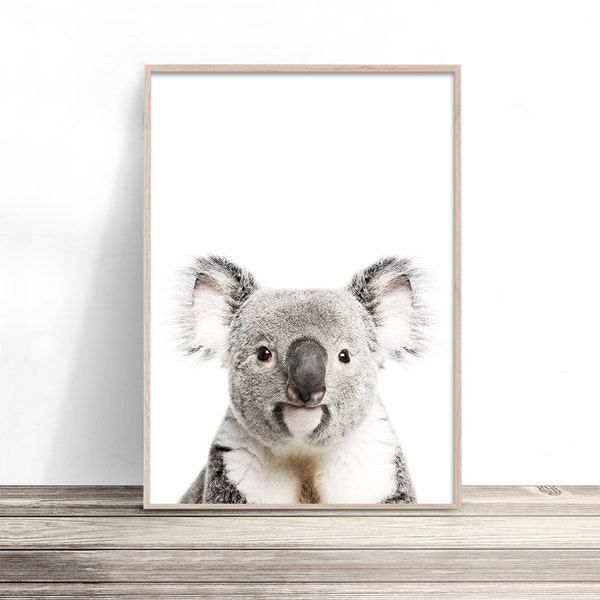 Koala Print - Etsy Australia