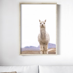 Llama Print, Alpaca Print, Llama Photography, Modern Farmhouse Decor ...