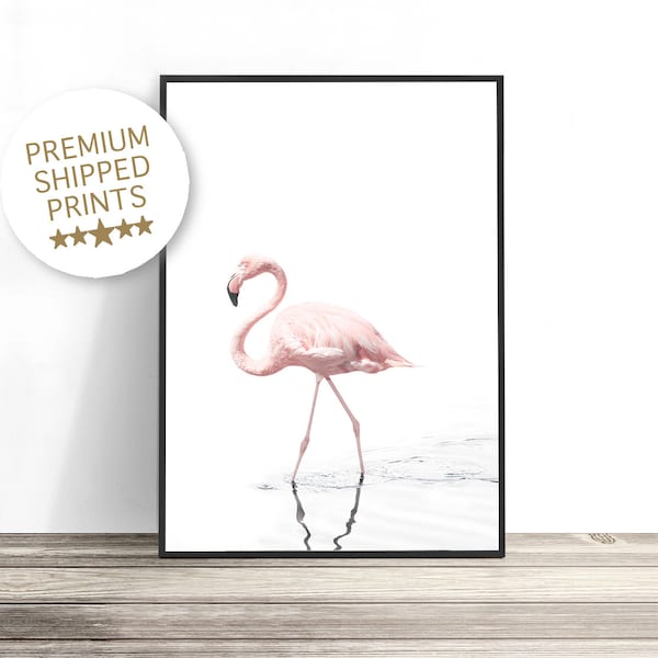Pale Flamingo Print - Etsy