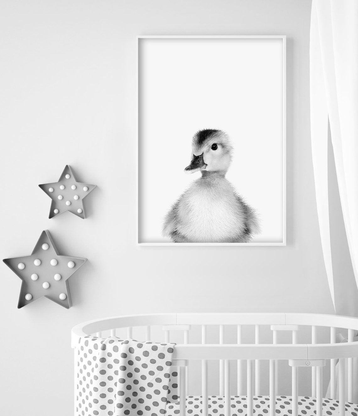 Baby Duck Print, Duckling Photo, Baby Animal Print for Nursery, Animal ...