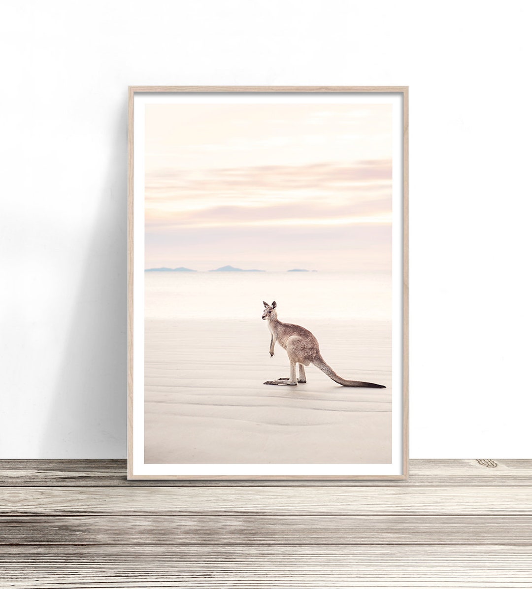 Kangaroo Wall Art | Australian Art Prints | Native Australian Animal ...