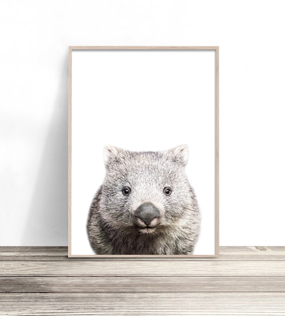 Wombat Print Native Australian Animal Prints Modern - Etsy Australia
