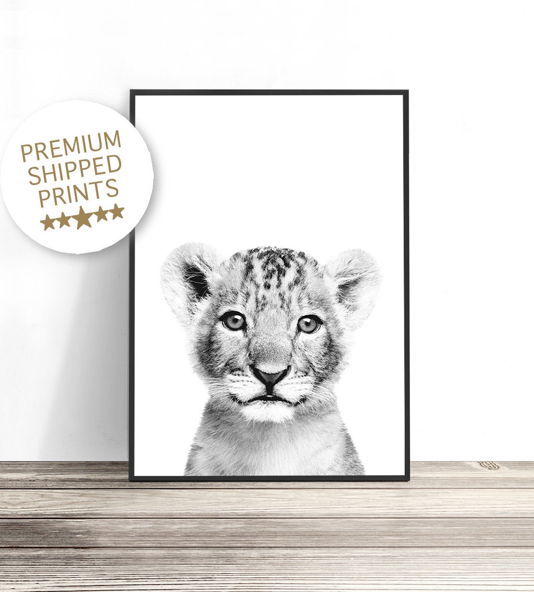Baby Lion Print, Lion Cub Wall Art, Safari Nursery Animal Print, Boys ...