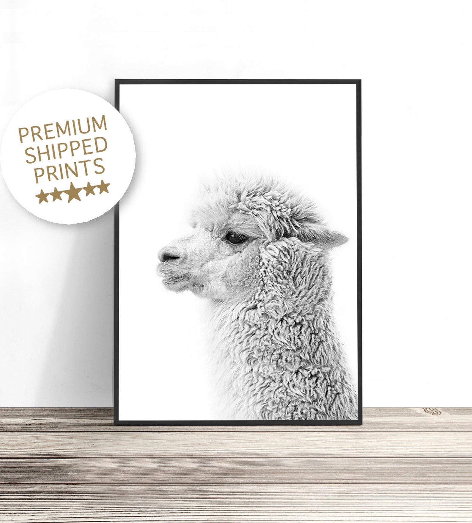 Black and White Llama Print Alpaca Art Print Llama Art - Etsy Australia