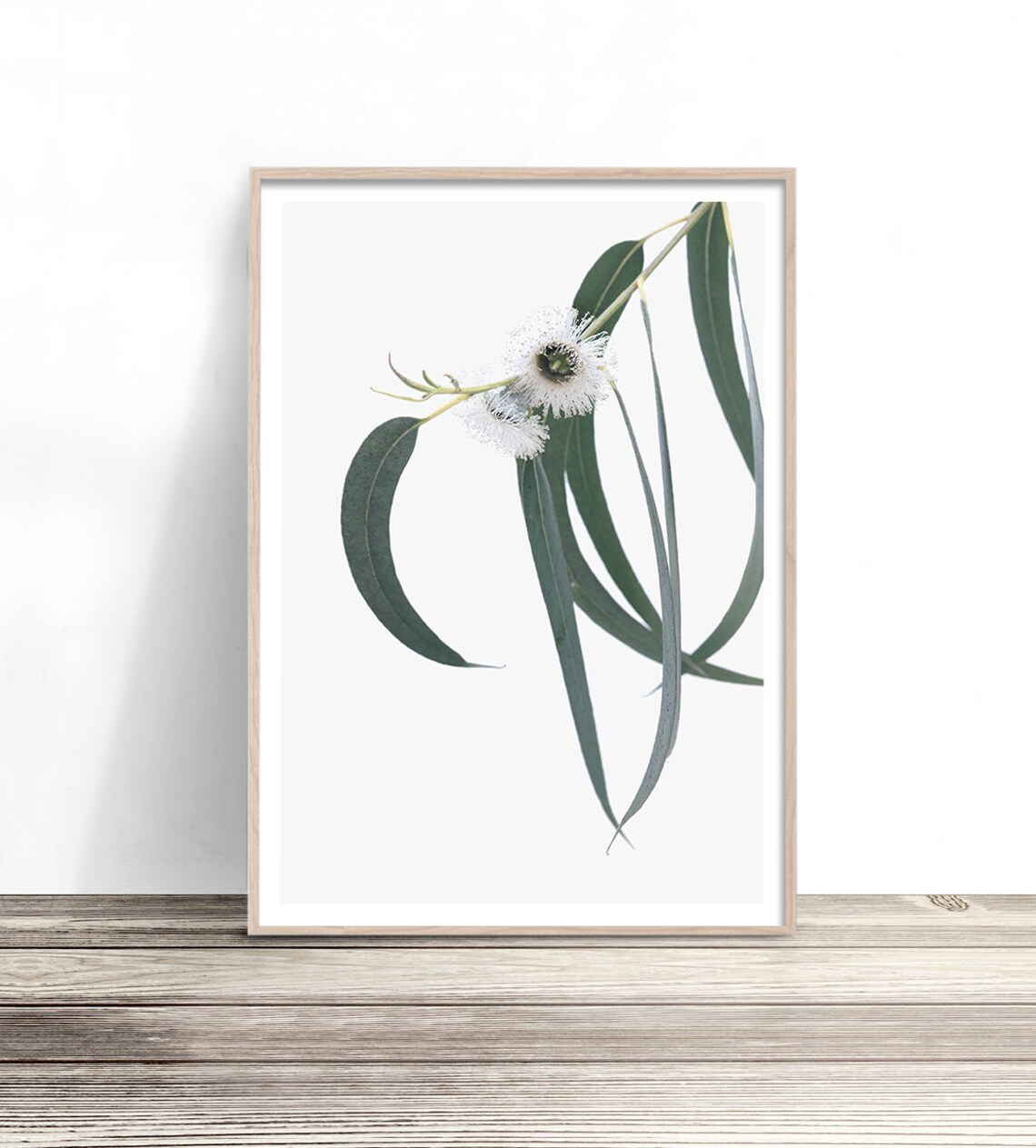 Australian Wall Art | Eucalyptus Leaves Prints | Set of 2 Prints ...
