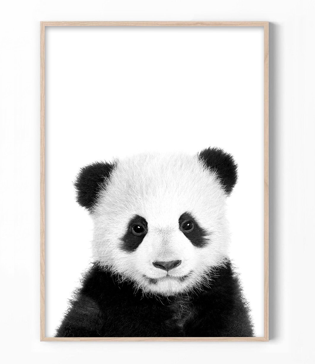 Baby Panda Print Panda Art Panda Bear Kids Room Decor Baby - Etsy
