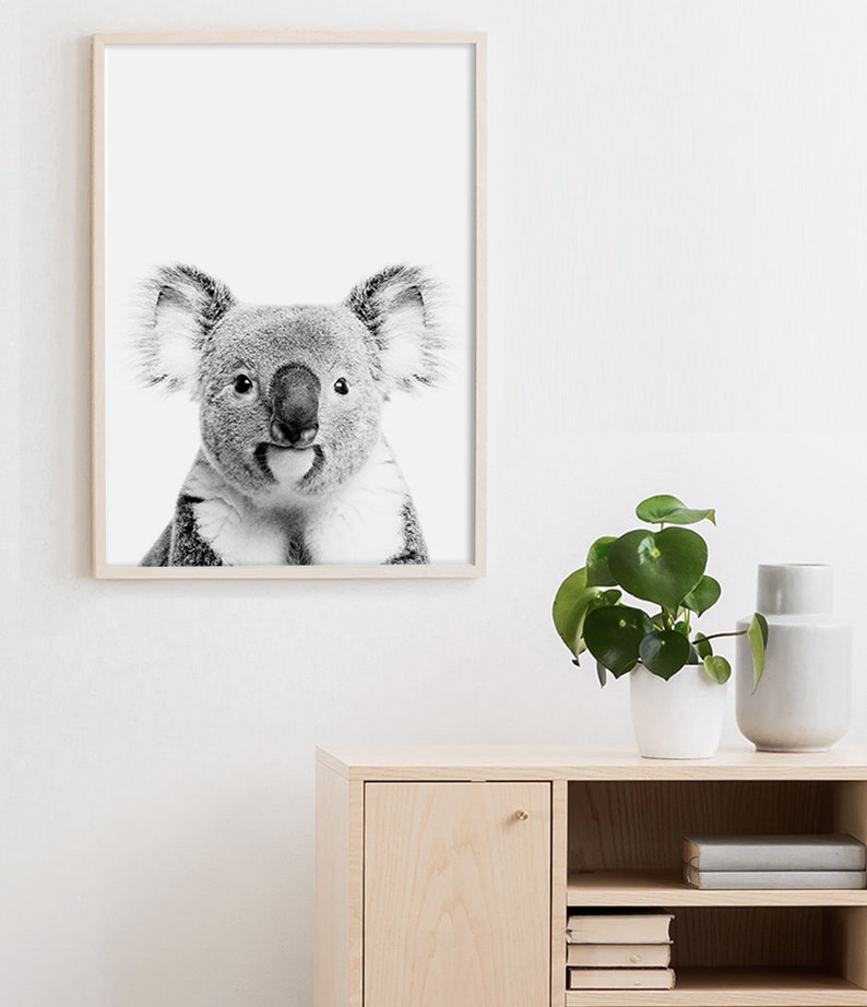 Black and White Koala Print, Australian Animal Prints, Australian Gifts ...