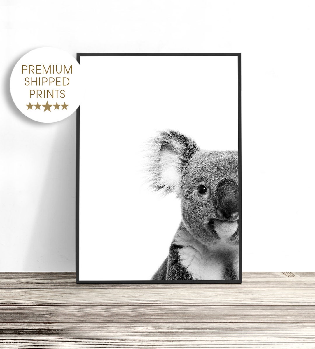 Koala Print, Australian Animal Print, Koala Art Print, Koala Bear Gifts ...