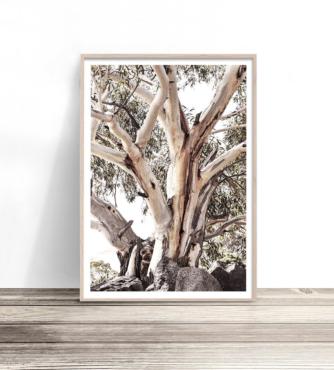 Gum Tree Print | Australian Landscape Art Poster | Aussie Native Bush ...