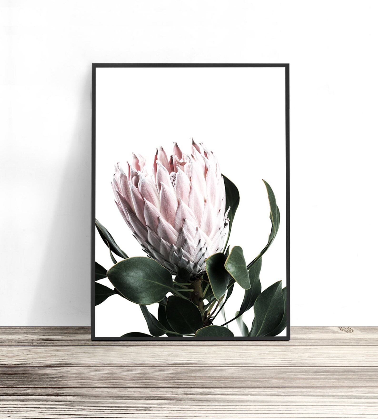 Protea Art, Blush Pink Wall Art, Flower Photography, Protea Print ...