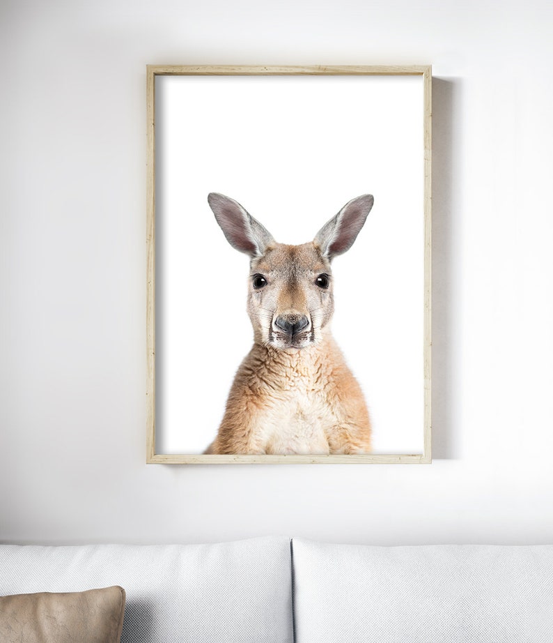 Kangaroo Print Native Australian Animal Art Australian | Etsy