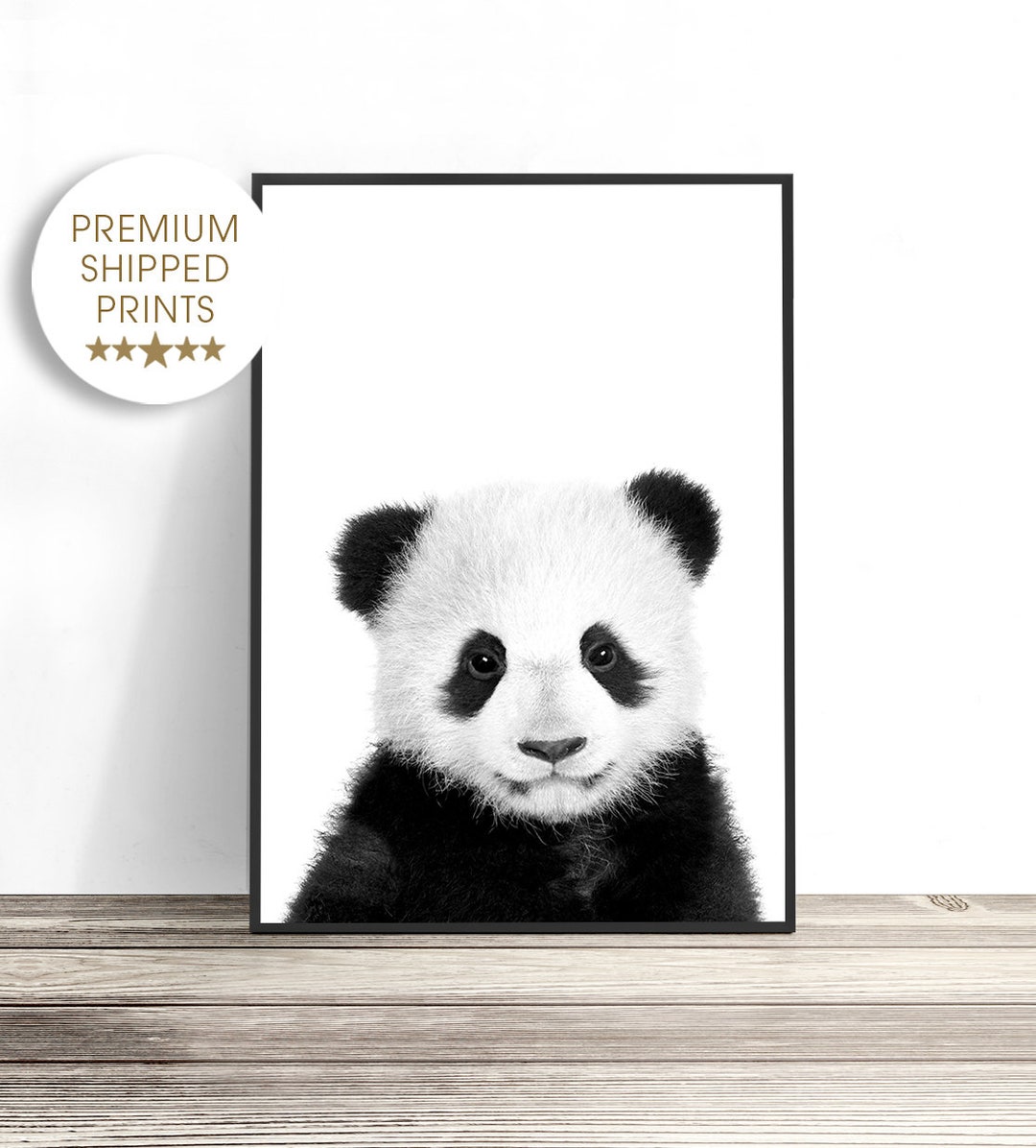 Baby Panda Print, Panda Art, Panda Bear Kids Room Decor, Baby Boy ...