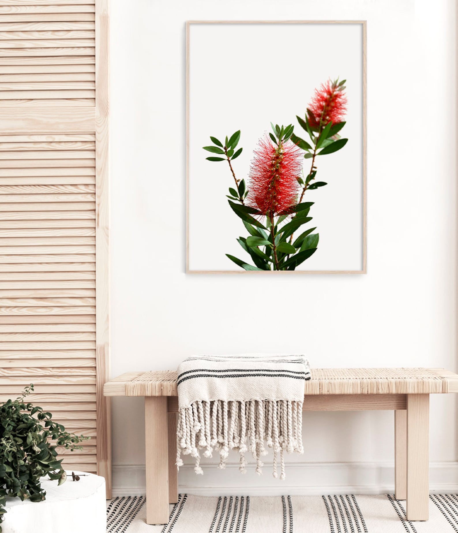 Bottlebrush Print Australian Native Print Flora Botanical | Etsy