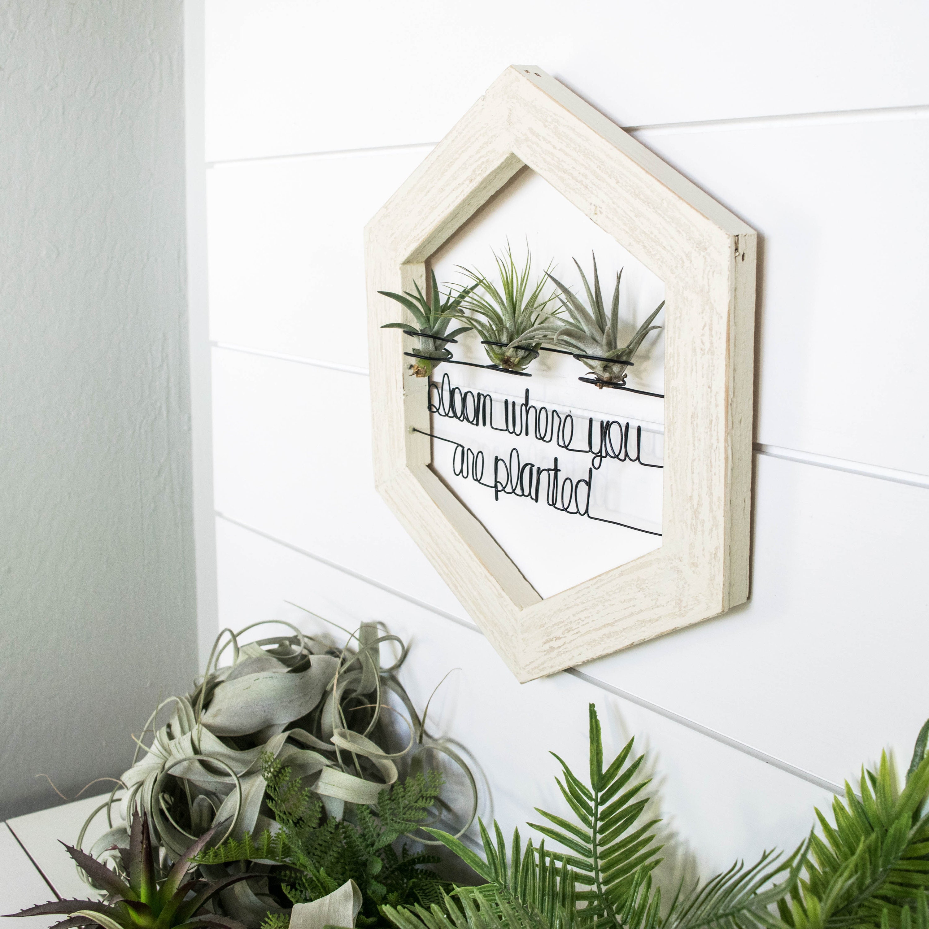Bloom Where You Are Planted Sign Succulent Sayings - Etsy