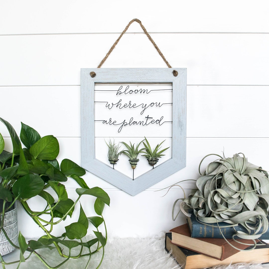 Bloom Where You Are Planted Sign Unique Air Planters - Etsy