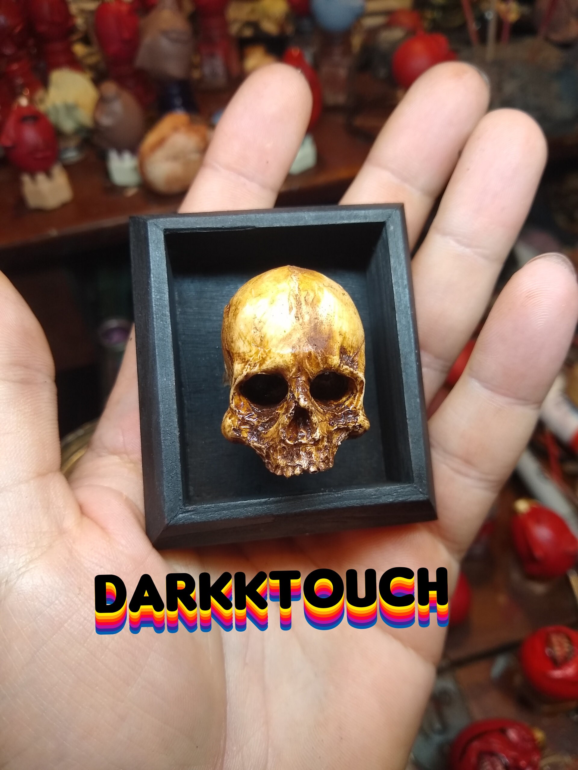 Skull in box frame wall art catacombs | Etsy