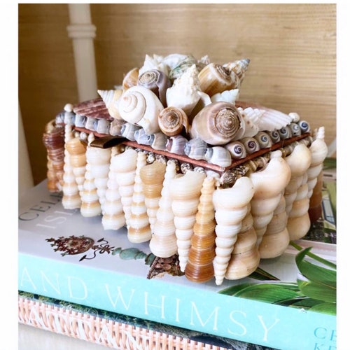 Handmade Seashell Box Shell Treasure Box - Etsy