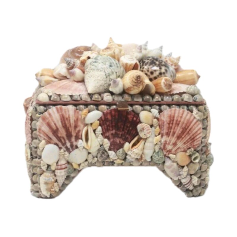 Seashell Jewelry Box - Etsy