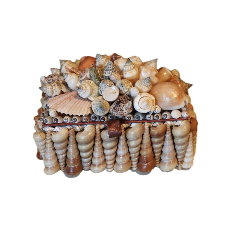 Shell Box - Etsy
