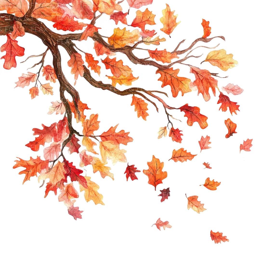 10 Falling Autumn Leaves Clipart L Oak Tree Branch Fall Decor L JPG ...