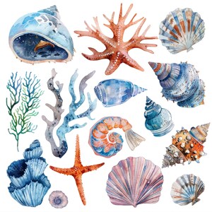 10 Underwater Collage Sheet Clipart L Sea Shells Coral L JPG Digital ...