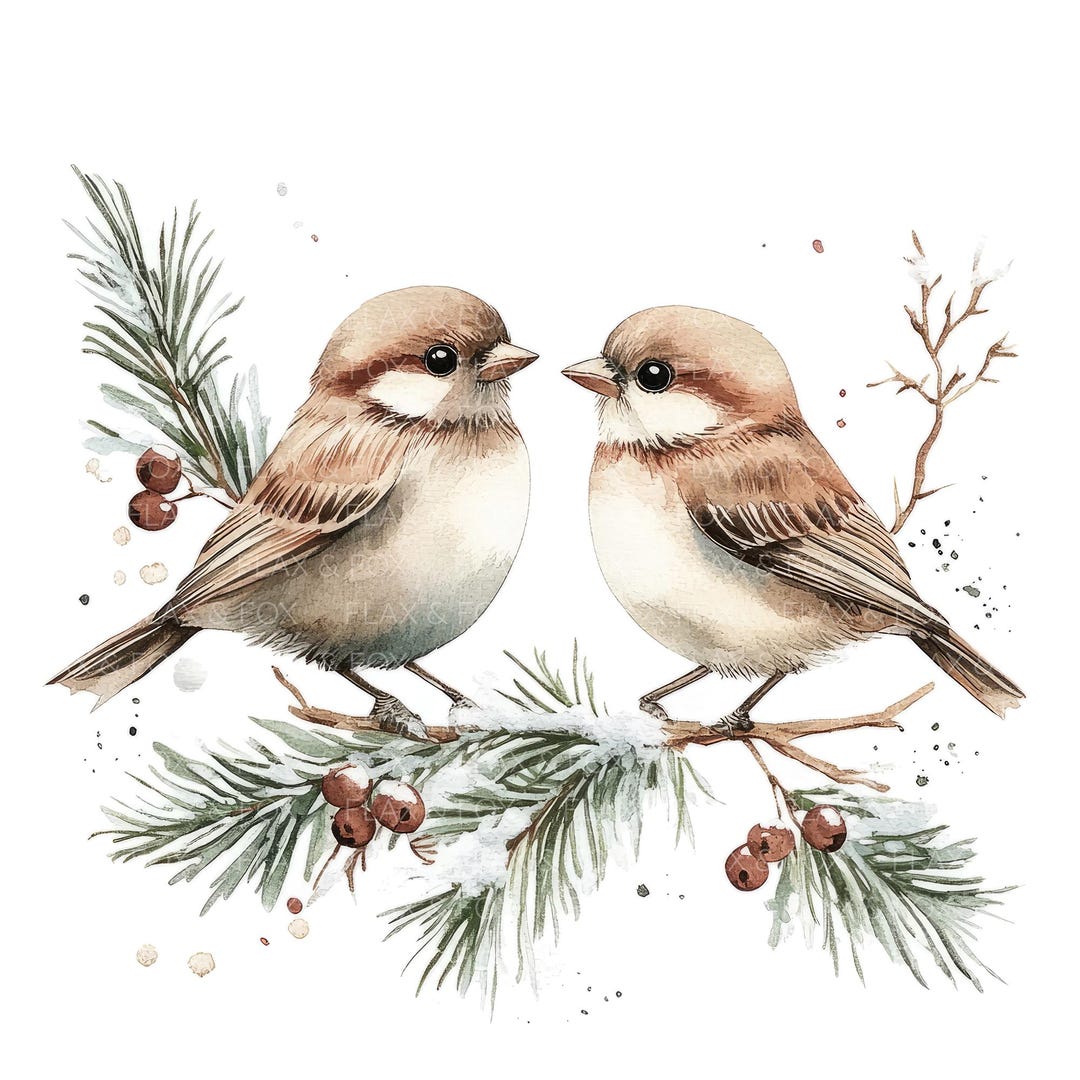 10 Winter Birds Clipart L Two Birds Christmas Card Decor L JPG Digital ...