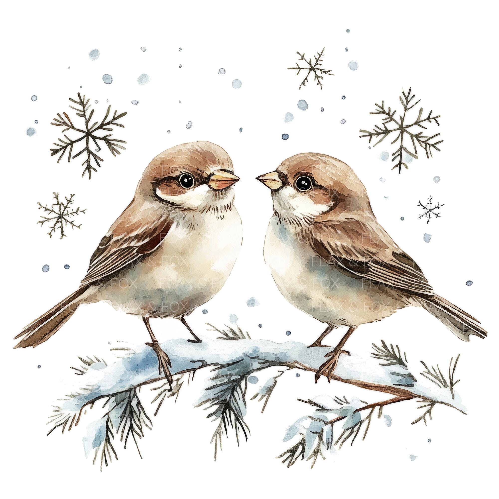 10 Winter Birds Clipart L Two Birds Christmas Card Decor L JPG Digital ...
