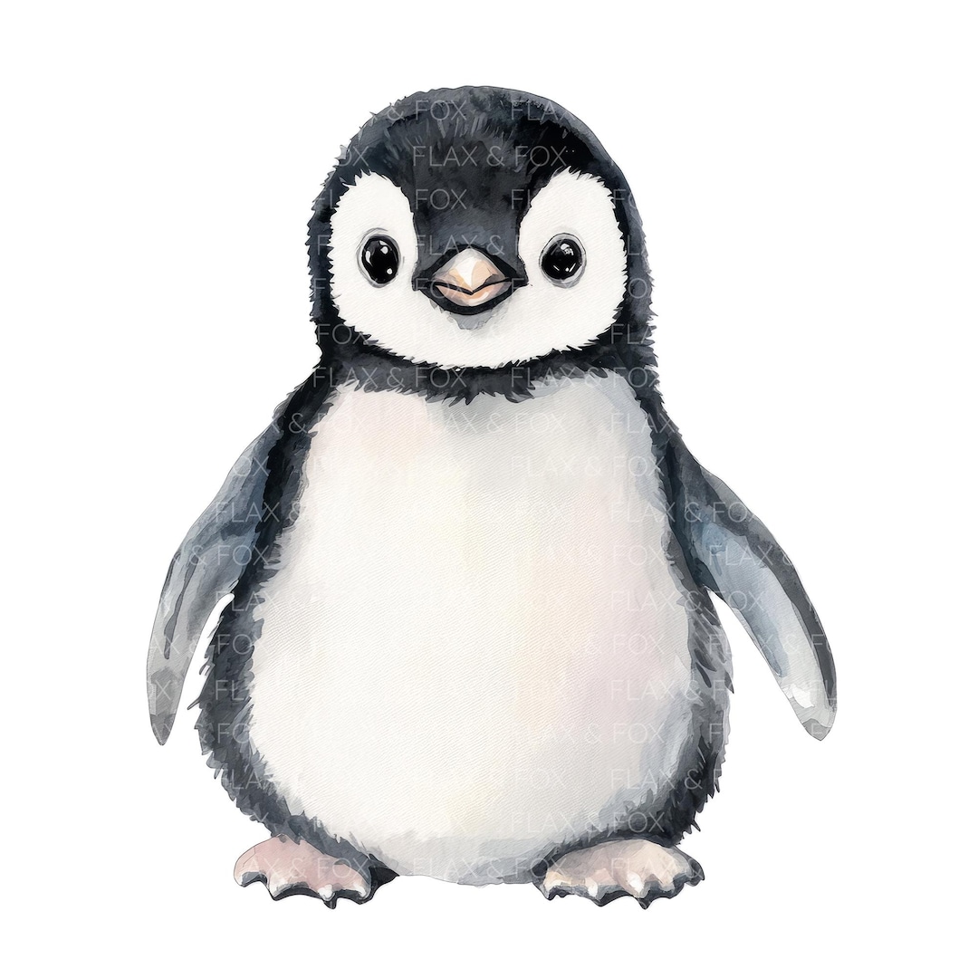 12 Cute Little Penguin Clipart L Baby Penguin L JPG Digital Download L ...