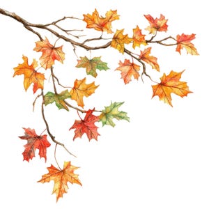 10 Falling Autumn Leaves Clipart L Oak Tree Branch Fall Decor L JPG ...